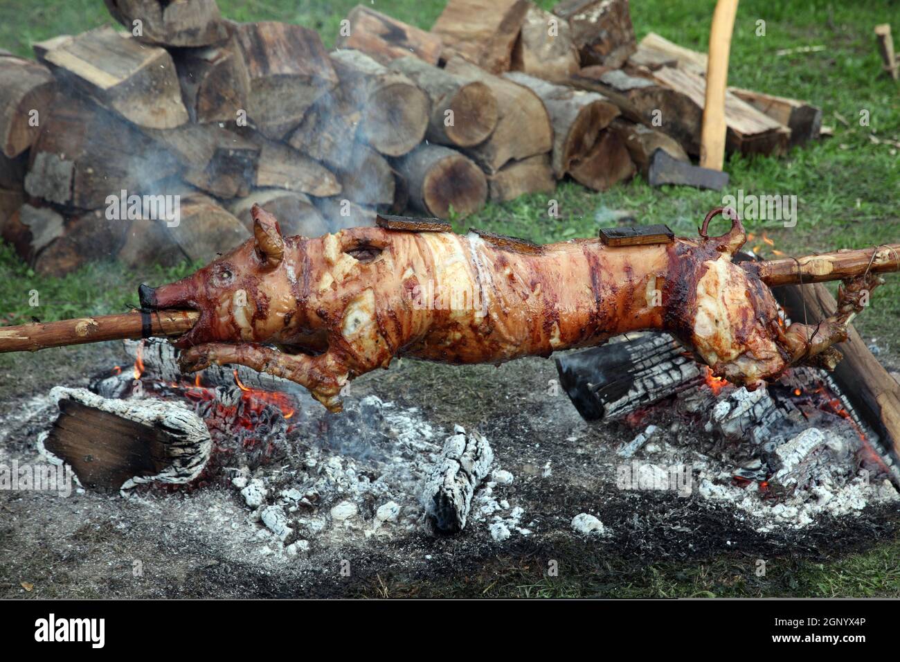 Suckling pig on a rotating spit with fire in the background Stock Photo ...