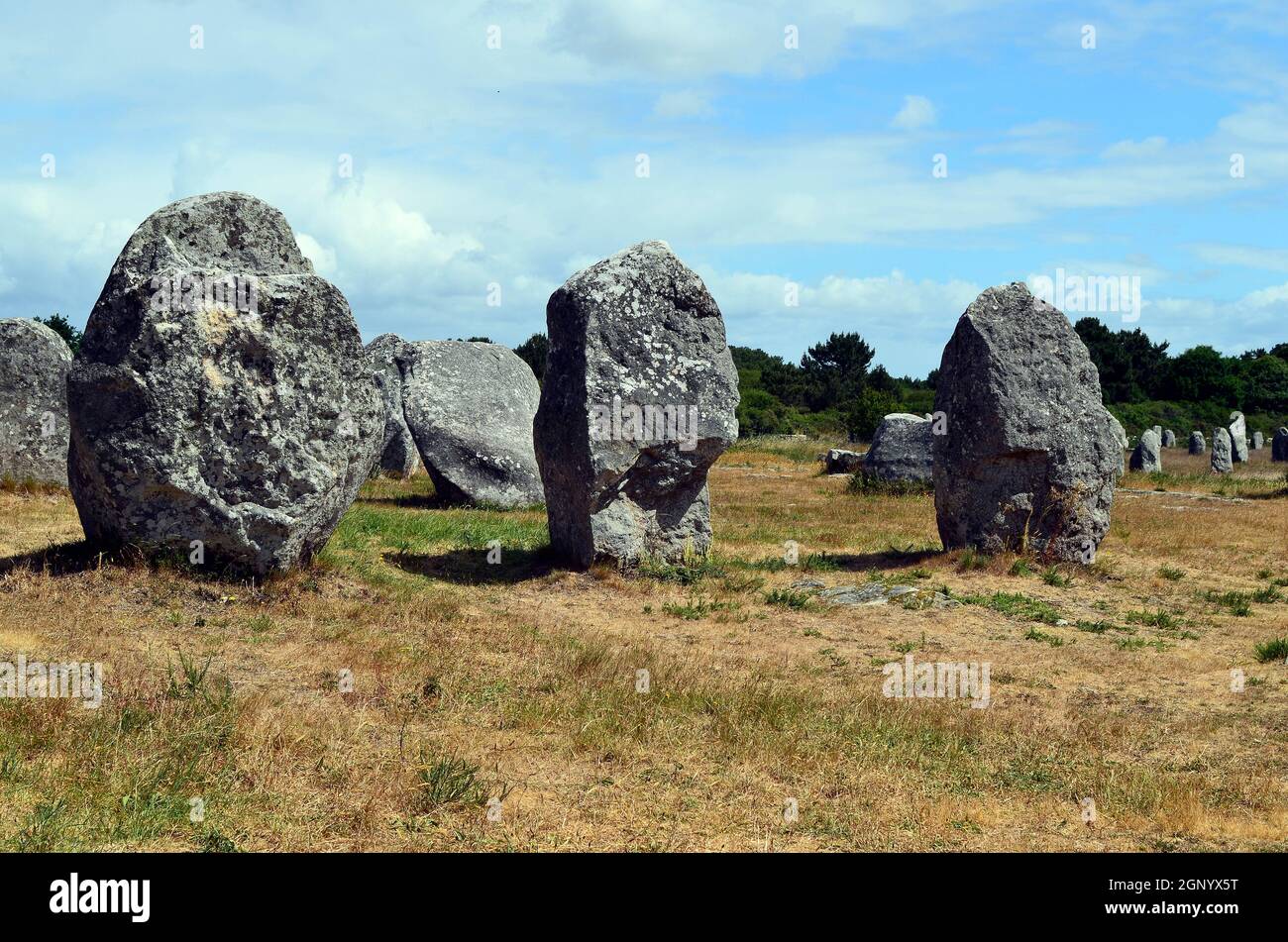 France, Carnac, ancient menhir in the Unesco World heritage site in ...