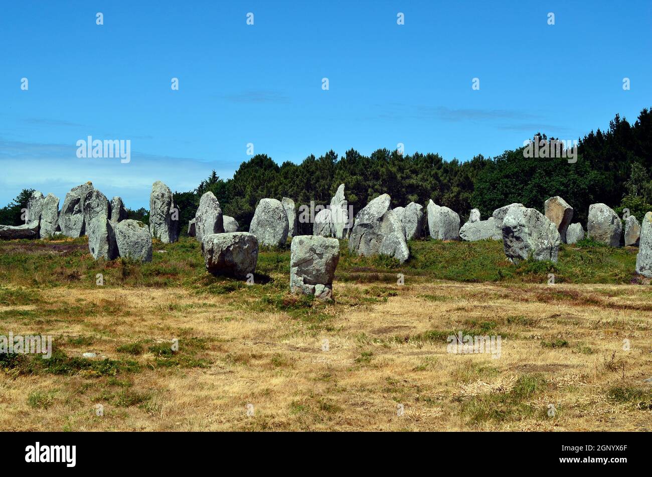 France, Carnac, ancient menhir in the Unesco World heritage site in ...