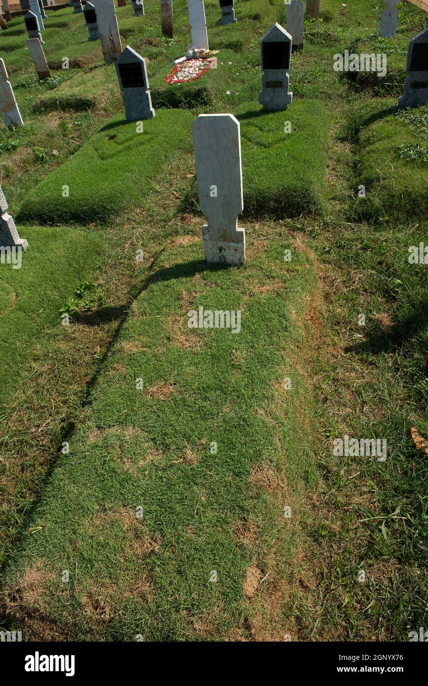 Cemetery with trees and many tombstones on a bright day Stock Photo - Alamy