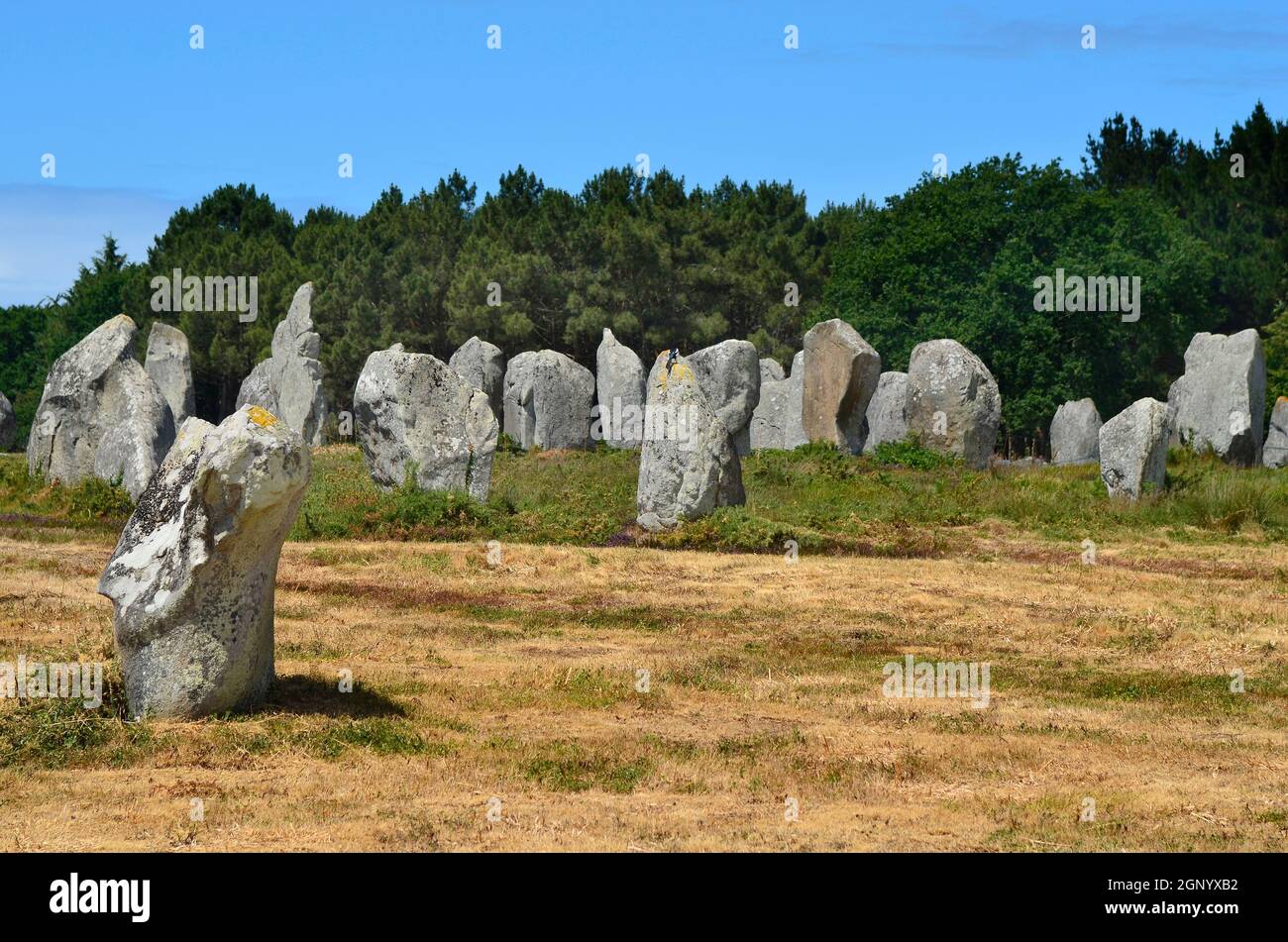 France, Carnac, ancient menhir in the Unesco World heritage site in ...