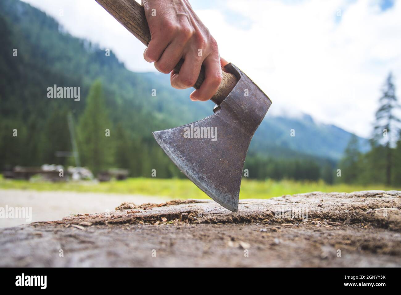Close up of old male hand holding axe attached to a tree trunk ...