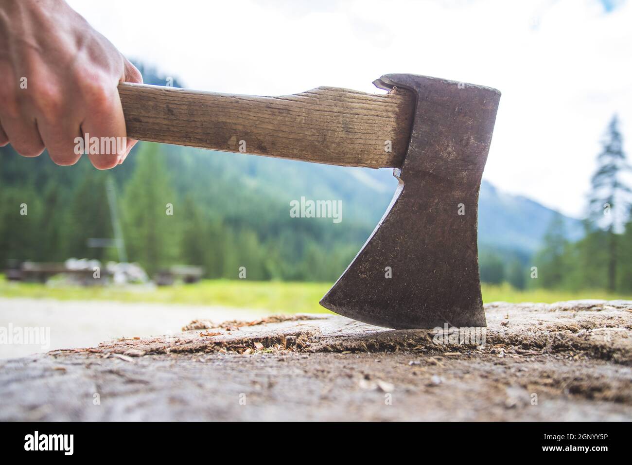 Close up of old male hand holding axe attached to a tree trunk ...