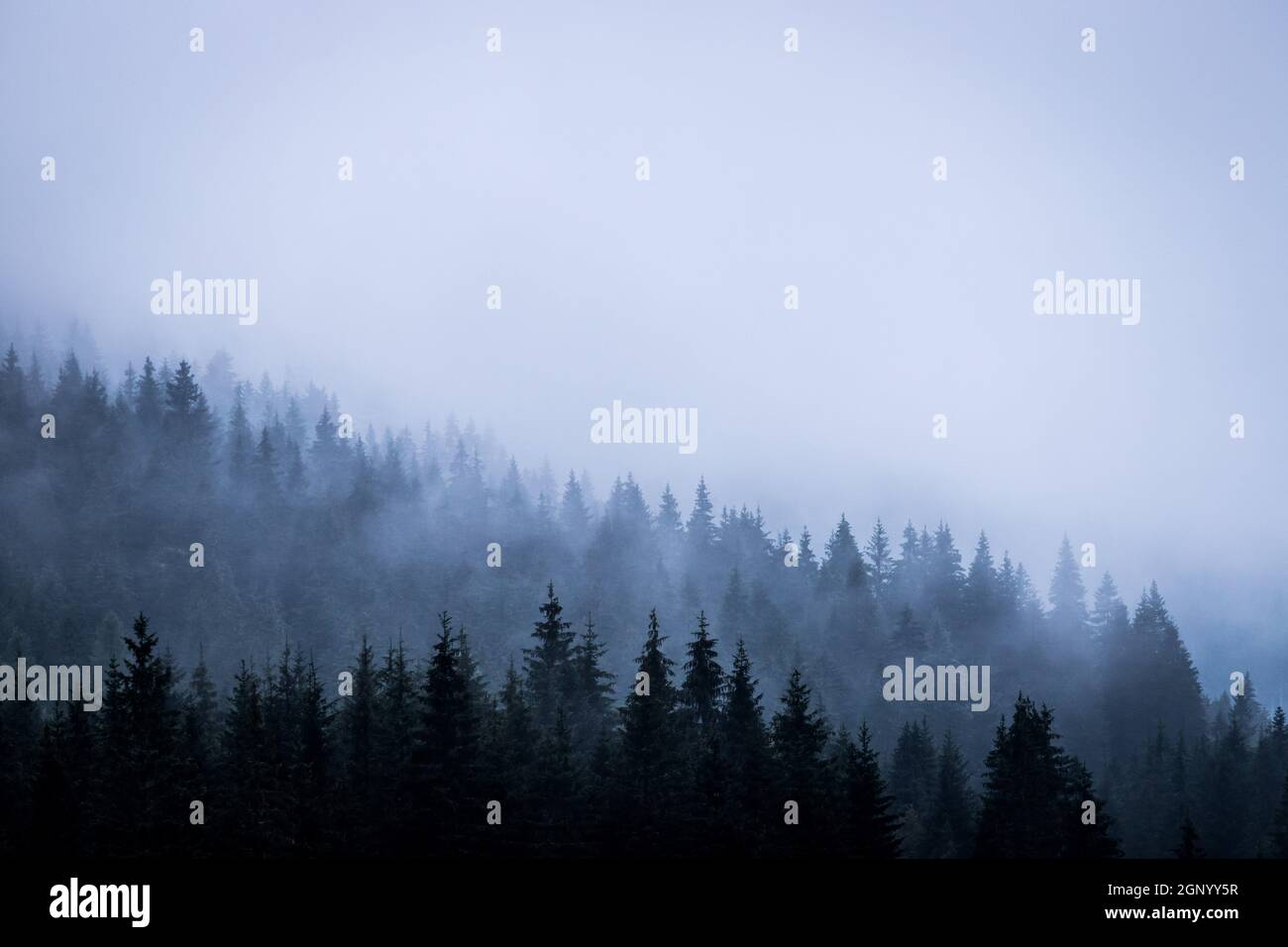 Magical atmosphere hi-res stock photography and images - Alamy
