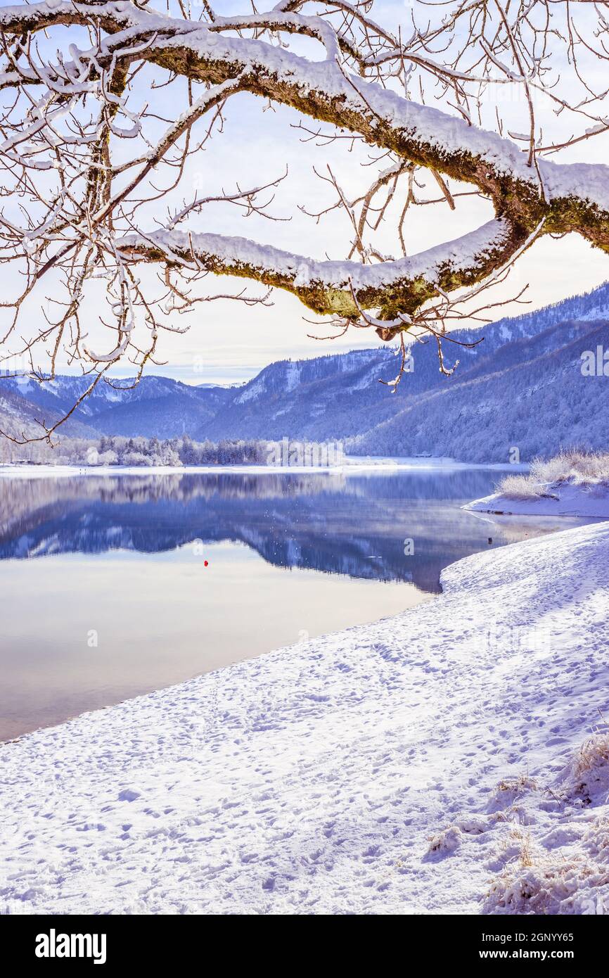 Idyllic winter landscape: Reflection lake, snowy trees and mountains ...