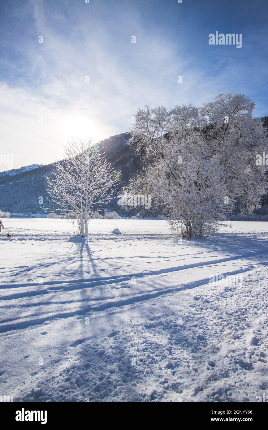 Idyllic winter landscape: snowy trees and fields, mountain range in ...