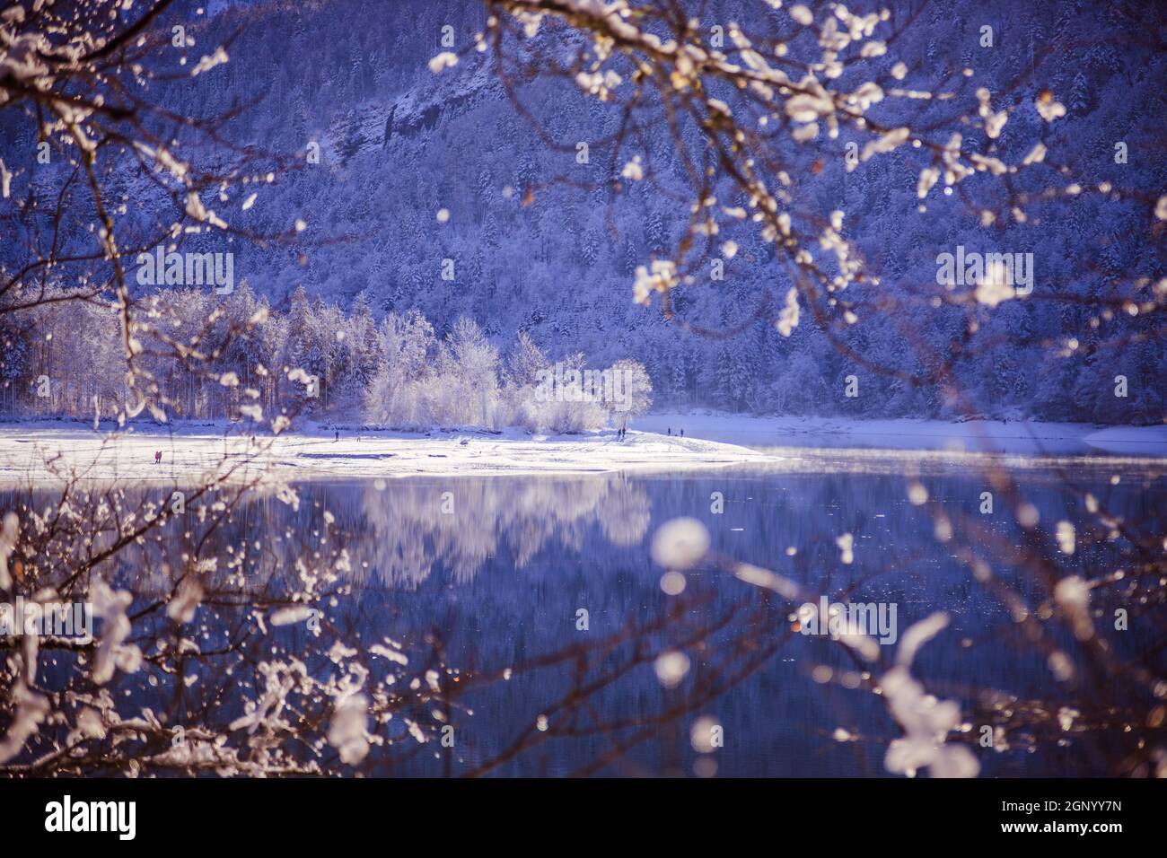 Idyllic winter landscape: Reflection lake, snowy trees and mountains ...