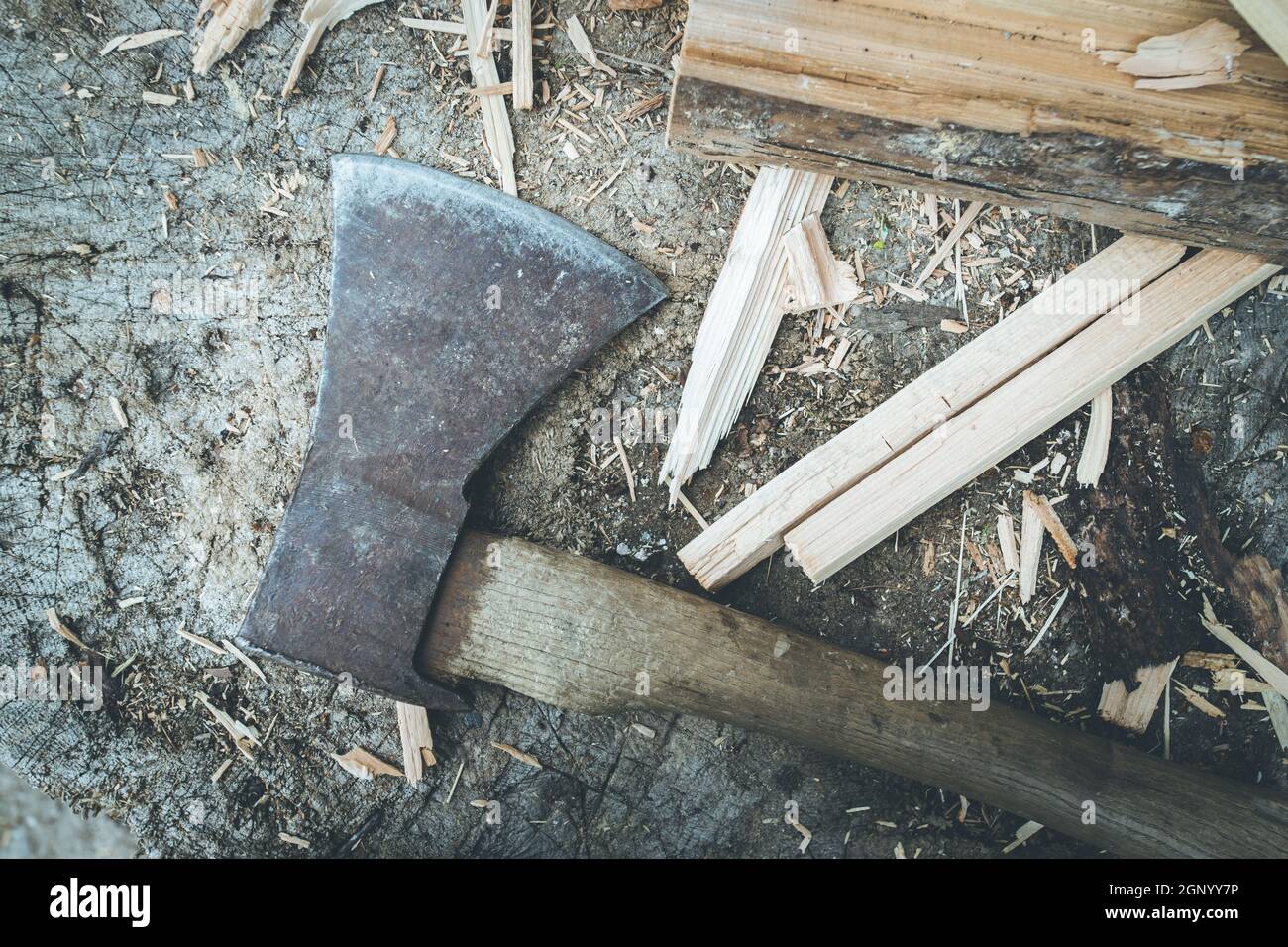 Murder weapon forest hi-res stock photography and images - Alamy