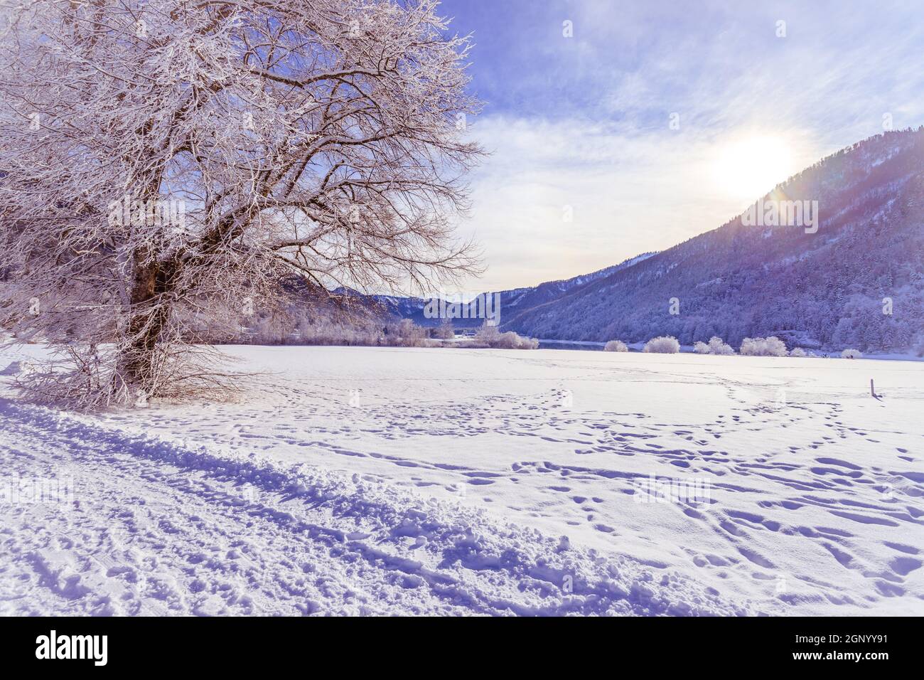Idyllic winter landscape: snowy trees and fields, mountain range in ...