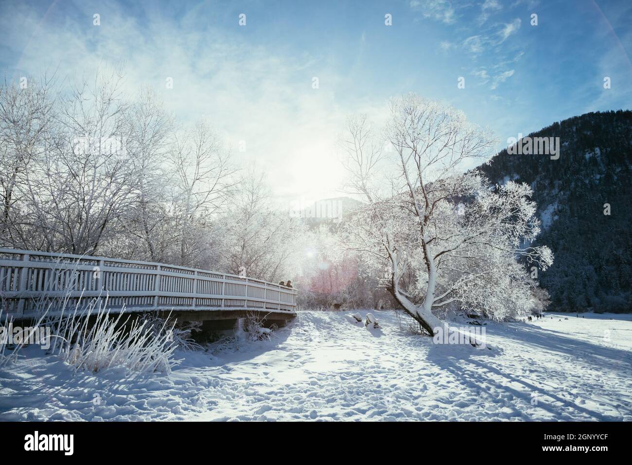 Idyllic winter landscape: wooden bridge and snowy trees, mountain range ...
