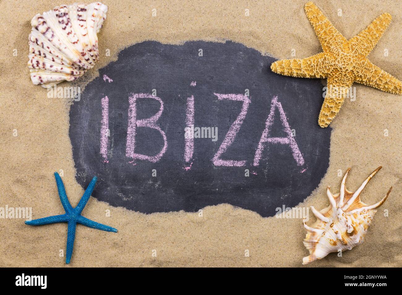 Handwritten word IBIZA written in chalk, among seashells and starfishes ...