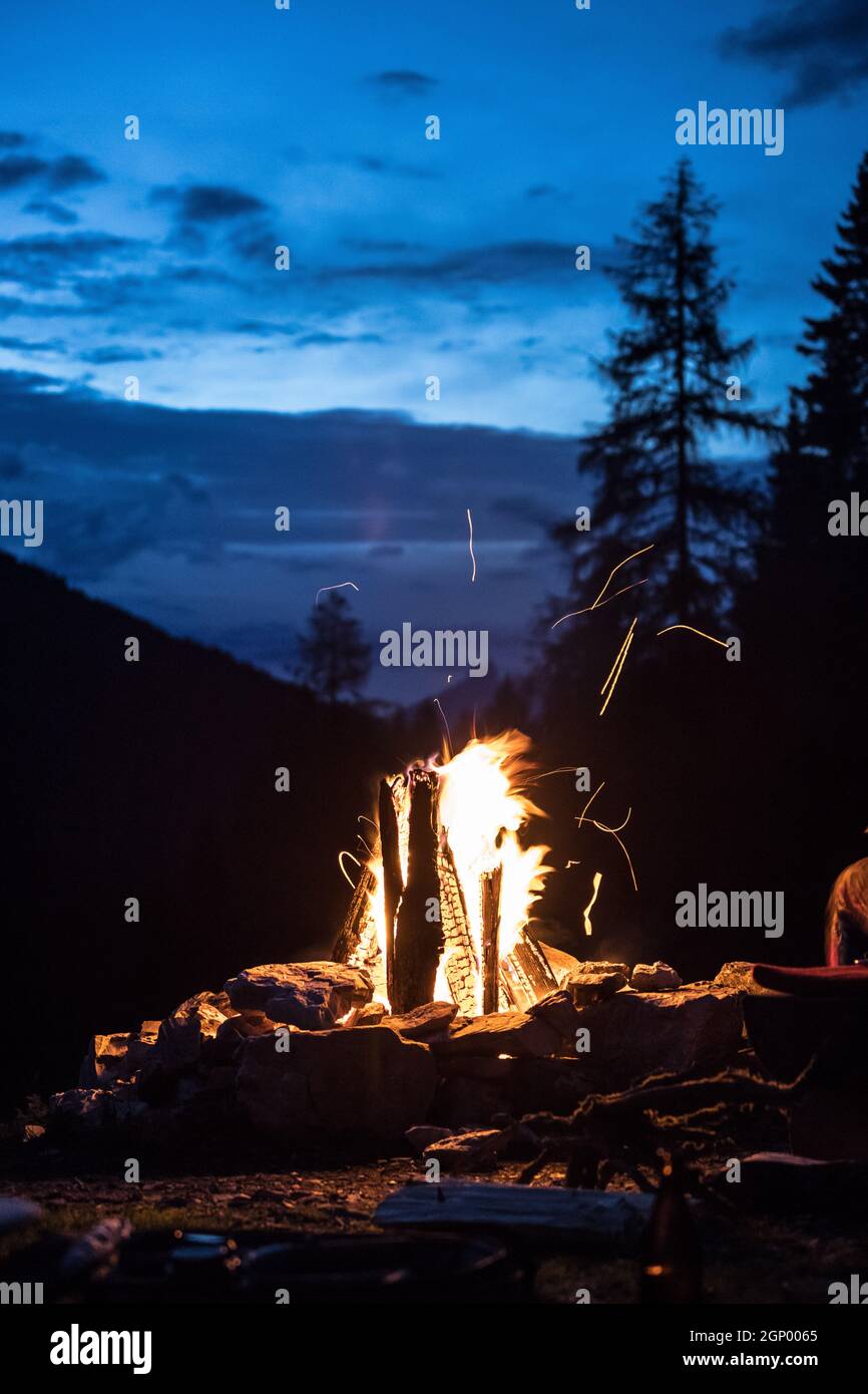 Forest bonfire in the summer, camping time with friends. Copy space ...