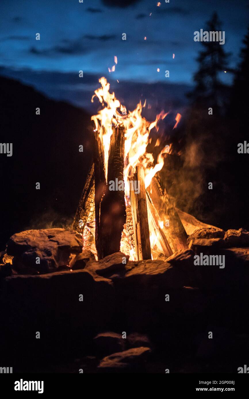 Forest bonfire in the summer, camping time with friends. Copy space ...