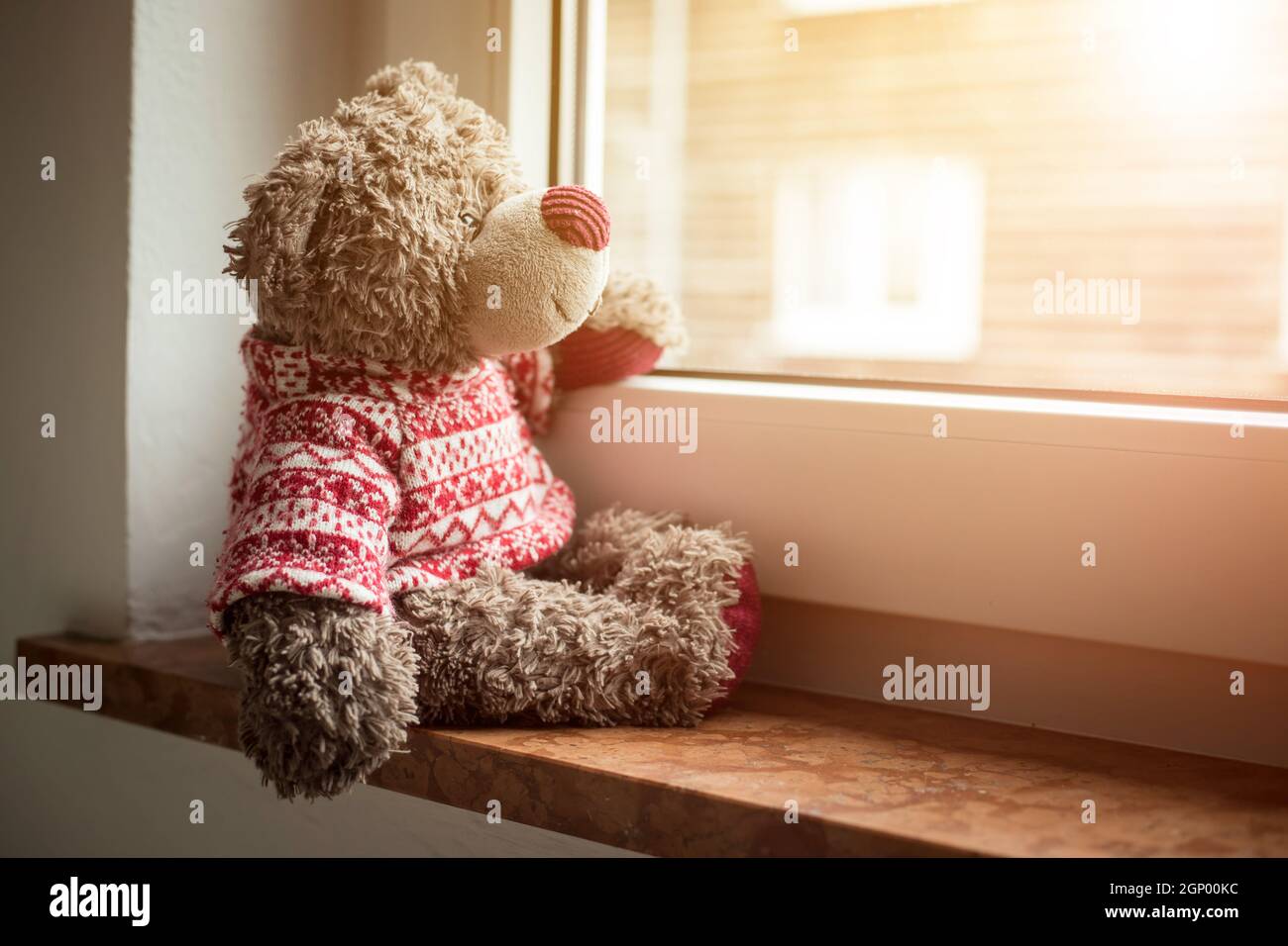 Cute teddy bear is sitting on the windowsill, looking out of the window ...