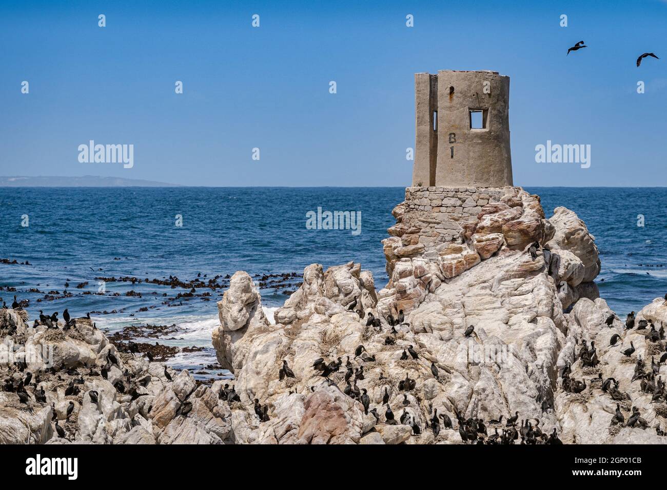 Stone lighthouse building at the coastline of stoney point Betty's Bay ...
