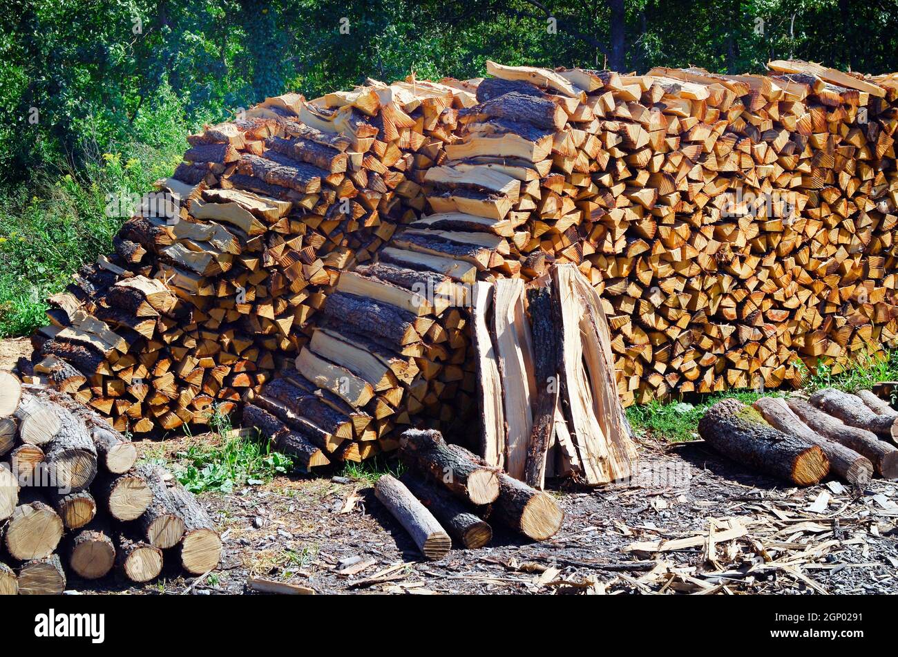 Austria, tree trunks stored for further processing Stock Photo - Alamy
