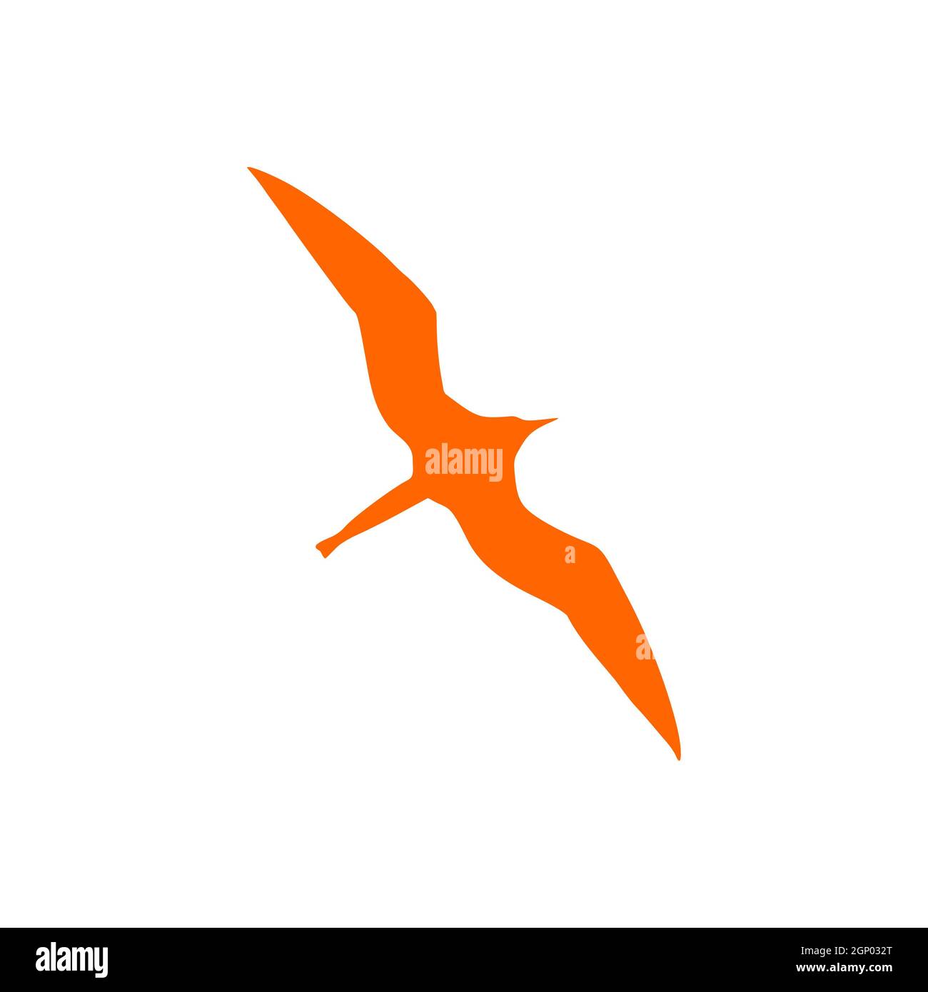 Frigate bird and background Stock Photo - Alamy