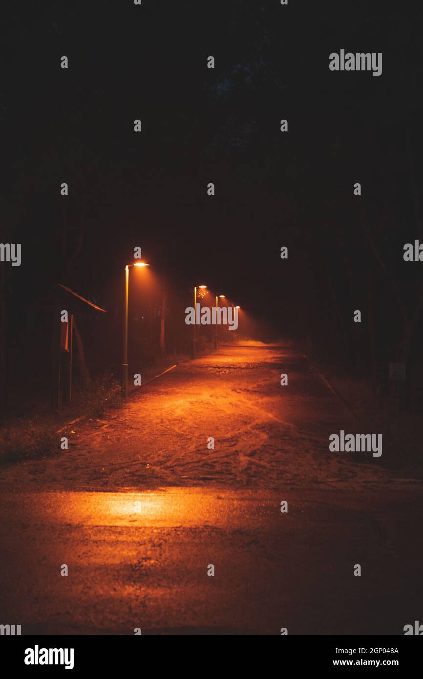 Dark street in the forest Stock Photo - Alamy