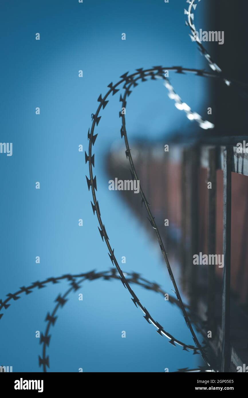 Close up perspective of barbed wire in the prison or on a military base ...