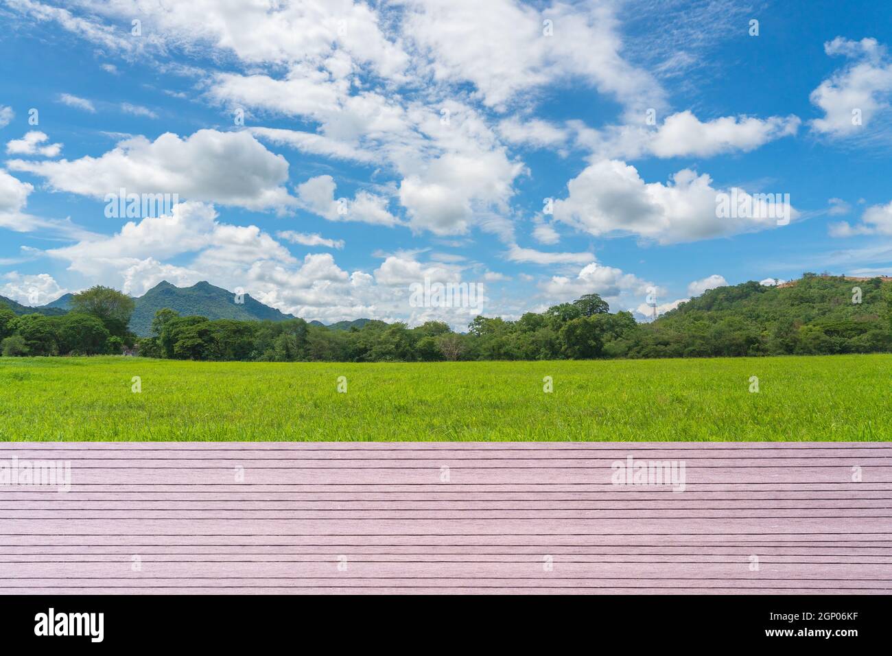Wood plank on natural green grass field in countryside Stock Photo - Alamy