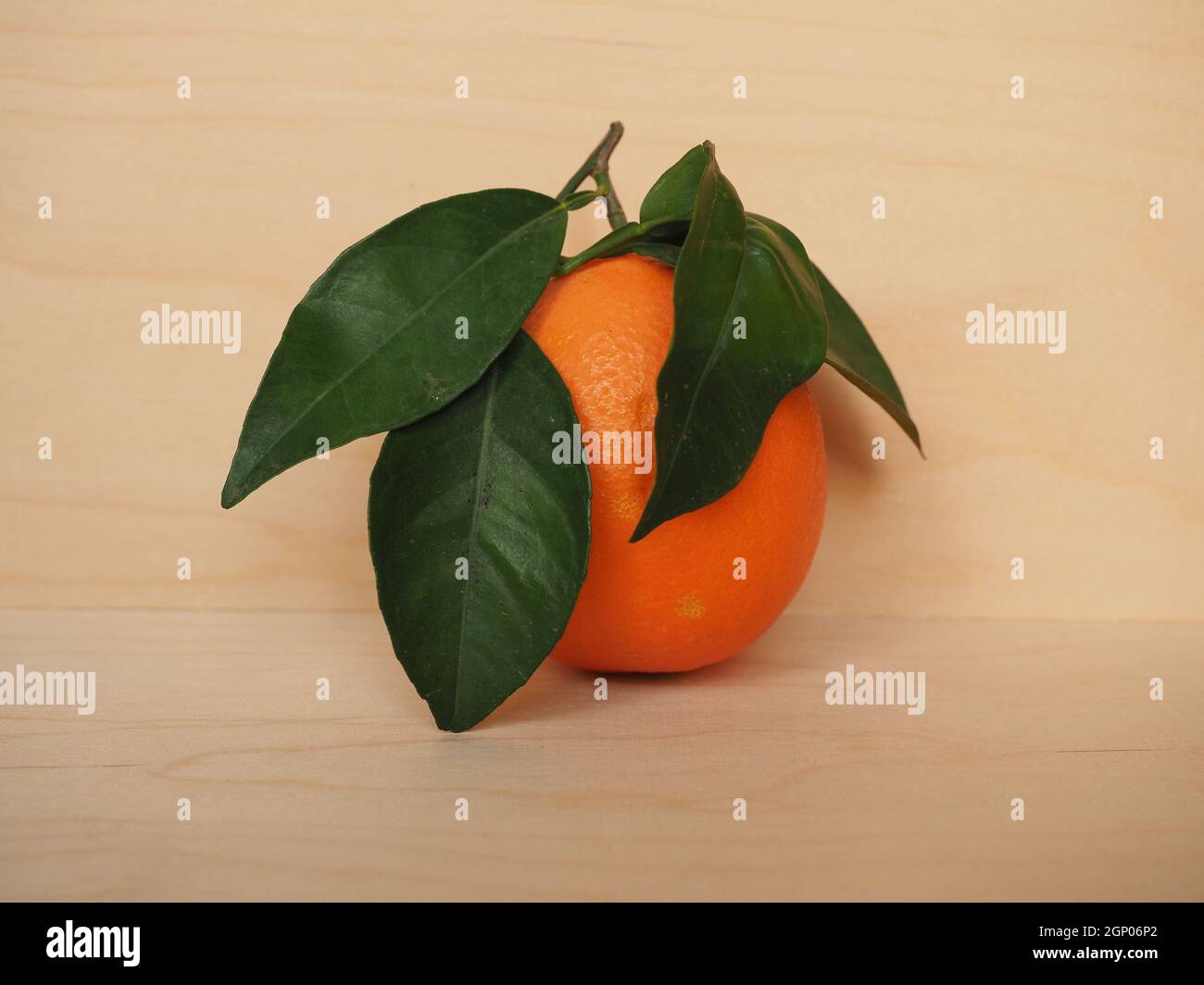 sweet orange vegetarian fruit food (scientific name Citrus sinensis ...