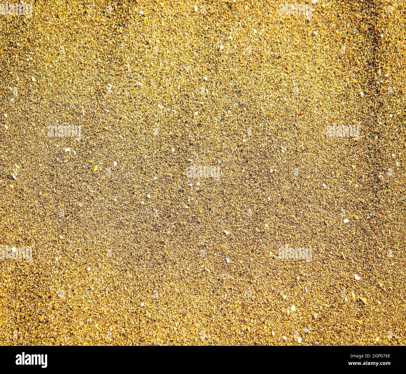The Yellow sand closeup as texture.Selective focus Stock Photo - Alamy
