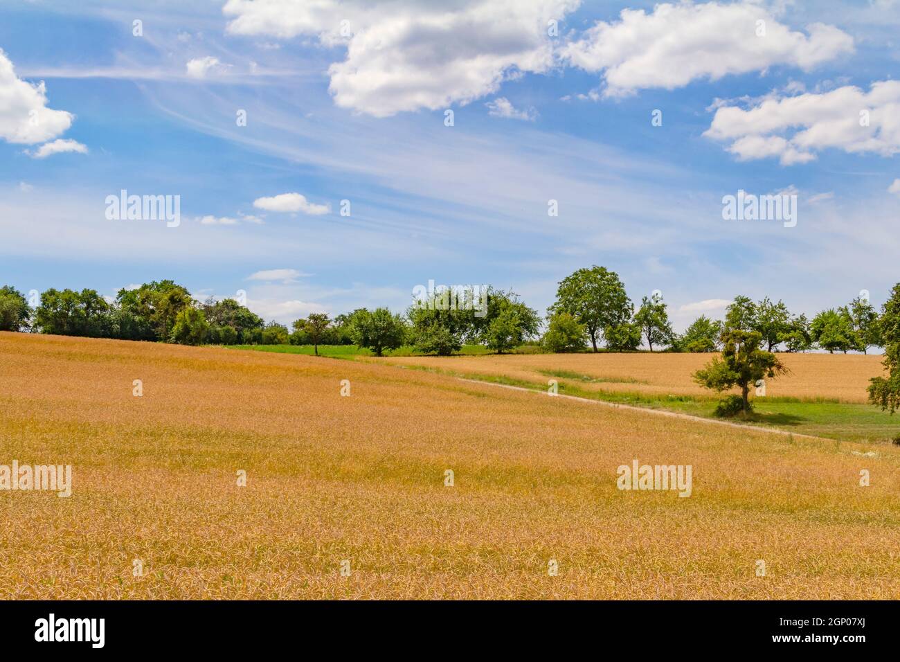 idyllic rural scenery around the Jagst Valley in Hohenlohe, a district ...
