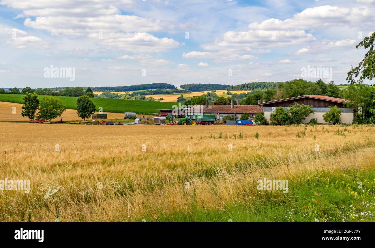 idyllic agricultural scenery including some equipment at summer time in ...