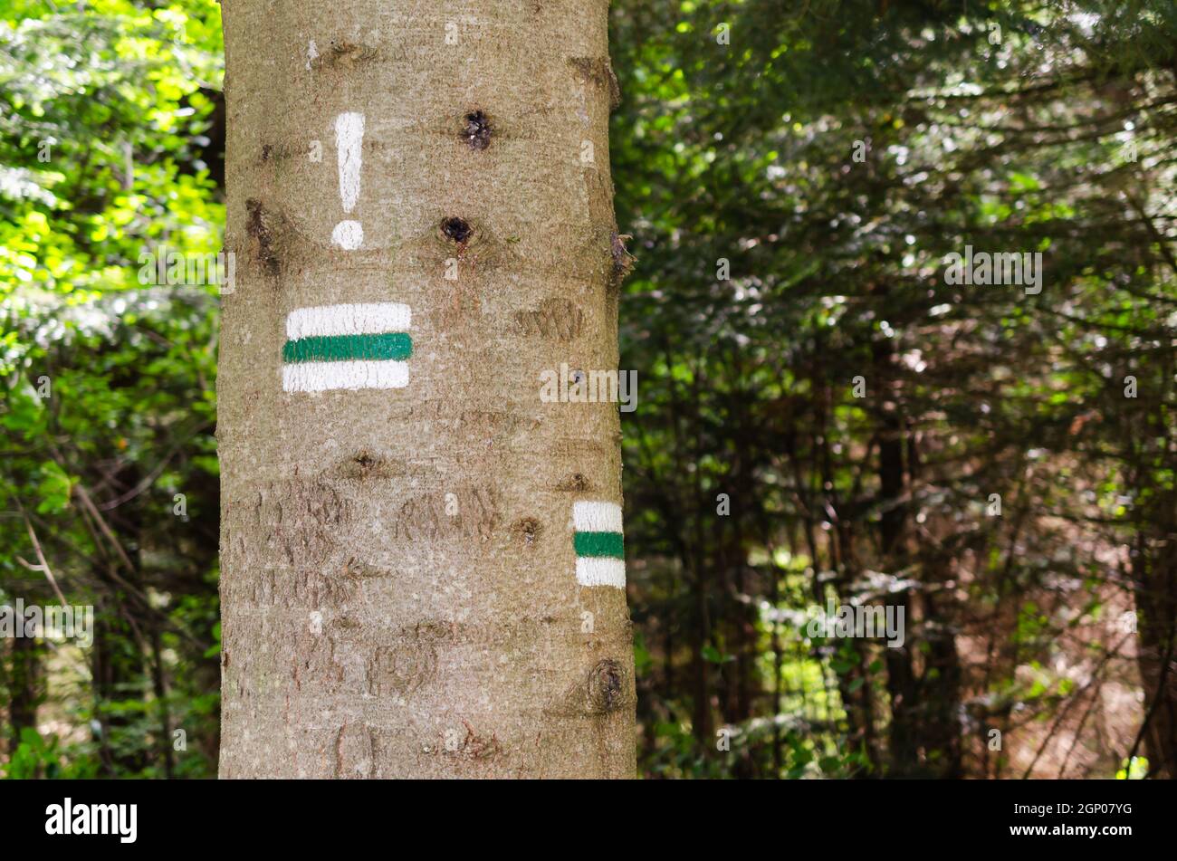 Detail of touristic marking on green hiking trails. Marks painted on ...