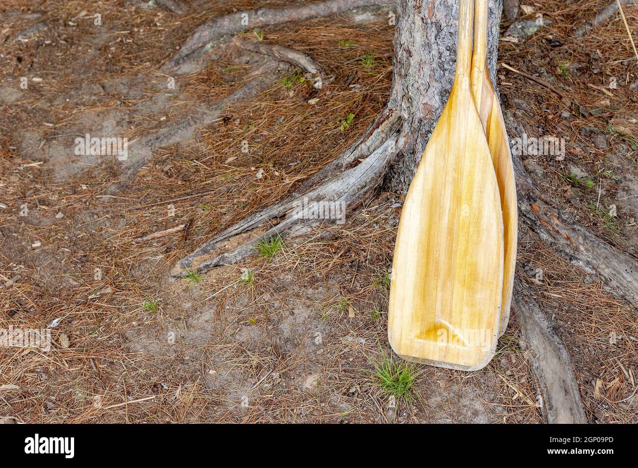 Boat blade hi-res stock photography and images - Alamy