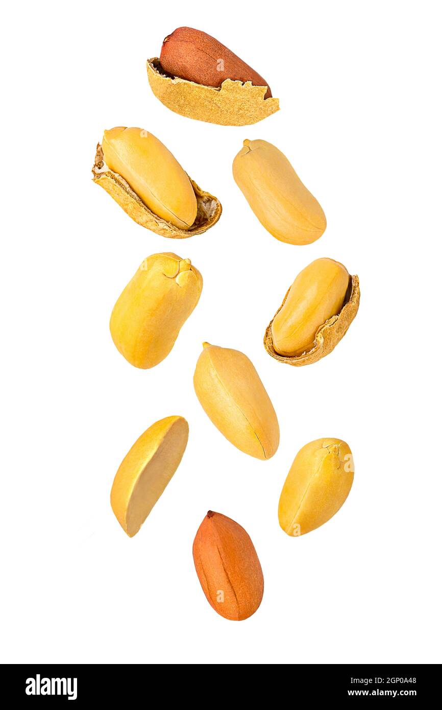 Isolated nuts. Nine flying peanuts witout shell on white with clipping ...