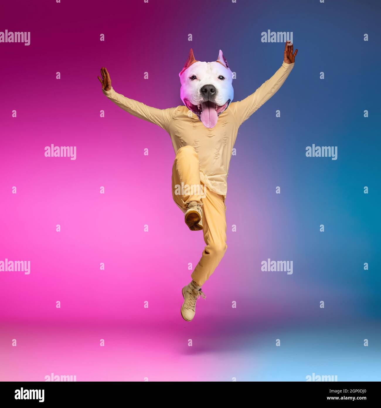 Contemporary collage with young man, hip hop dancer headed of dog's ...