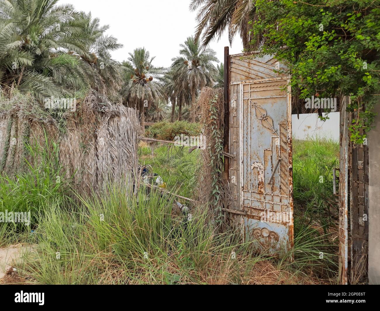 Open gate of a fence surrounded by trees and greenery Stock Photo - Alamy
