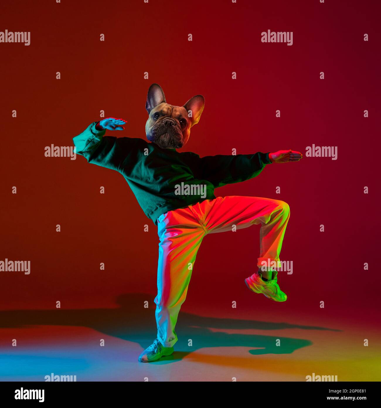 Art collage. Young man, hip hop dancer headed of dog's head dancing ...