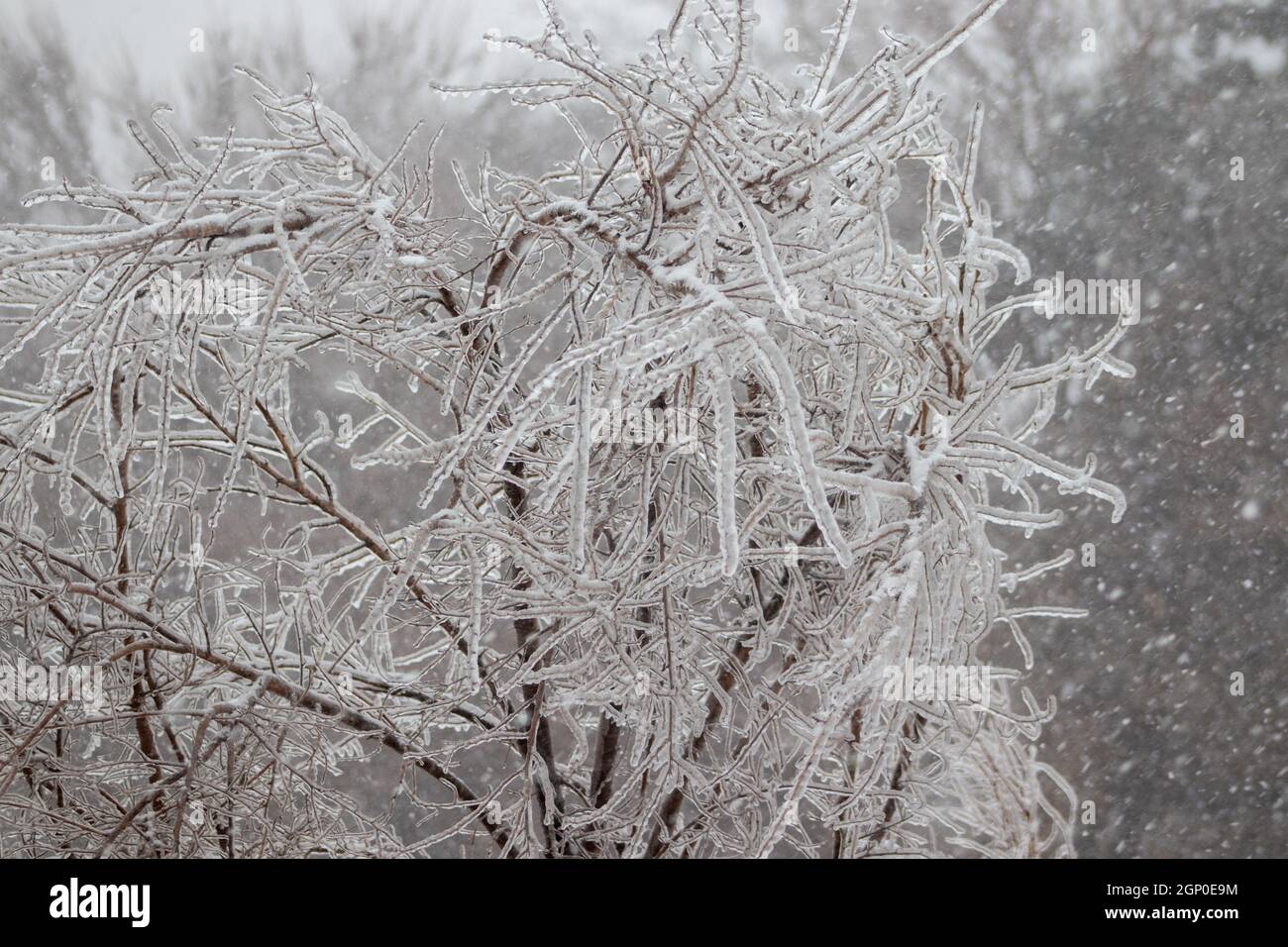 Nebraska winter storm hi-res stock photography and images - Alamy