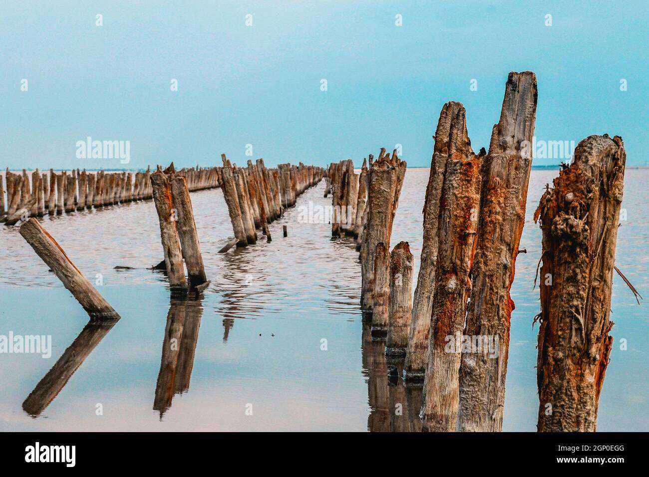 Wooden logs stand in sea water. Wooden logs stand in sea water Stock ...