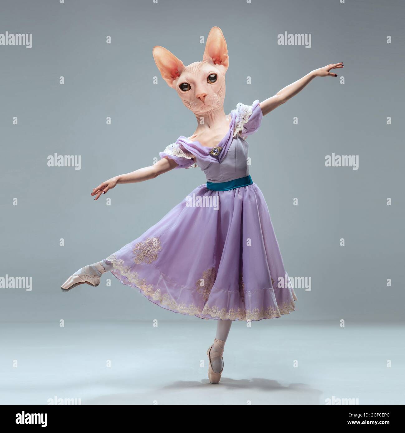 Art collage. Young woman, ballet dancer headed of cat's head dancing ...