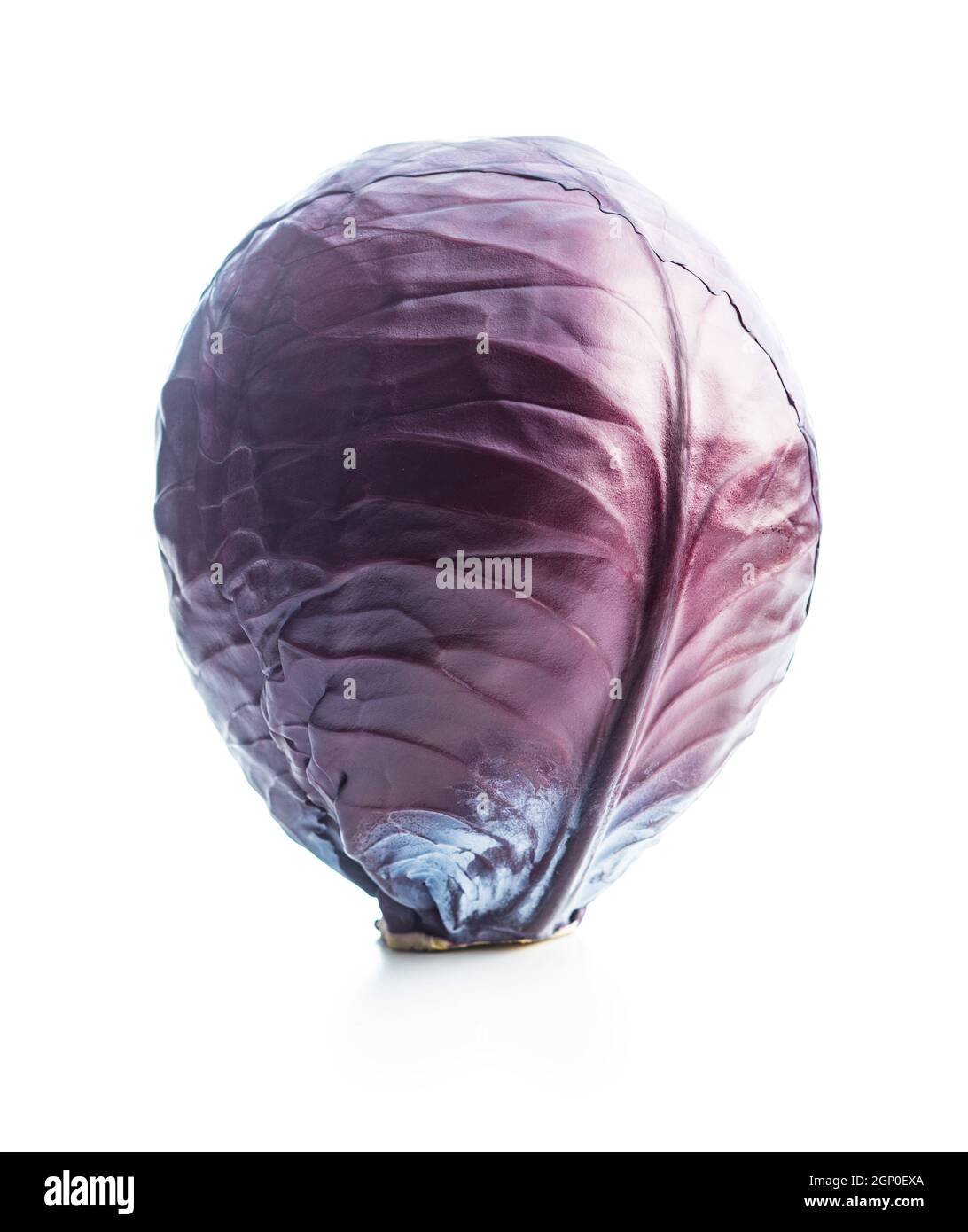 Fresh red cabbage isolated on white background Stock Photo - Alamy