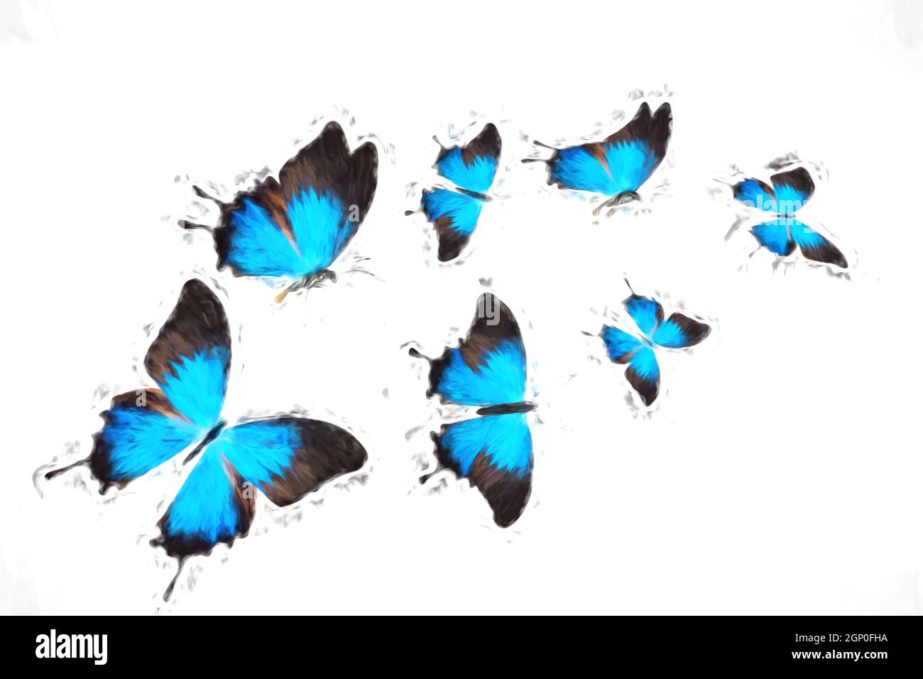 flock of tropical blue butterflies isolated on a white background Stock ...