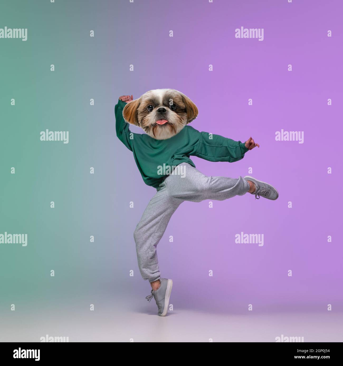 Art collage. Young woman, hip hop dancer headed of dog's head dancing ...