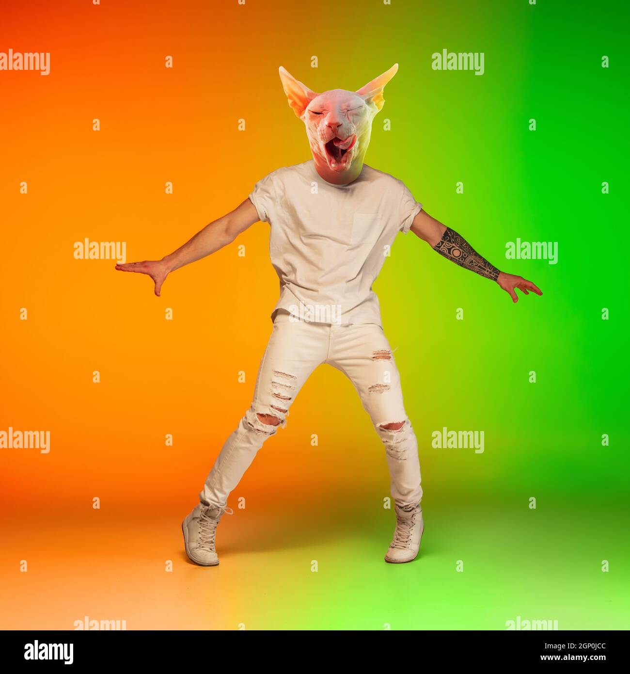 Contemporary collage with young man, hip hop dancer headed of cat's ...