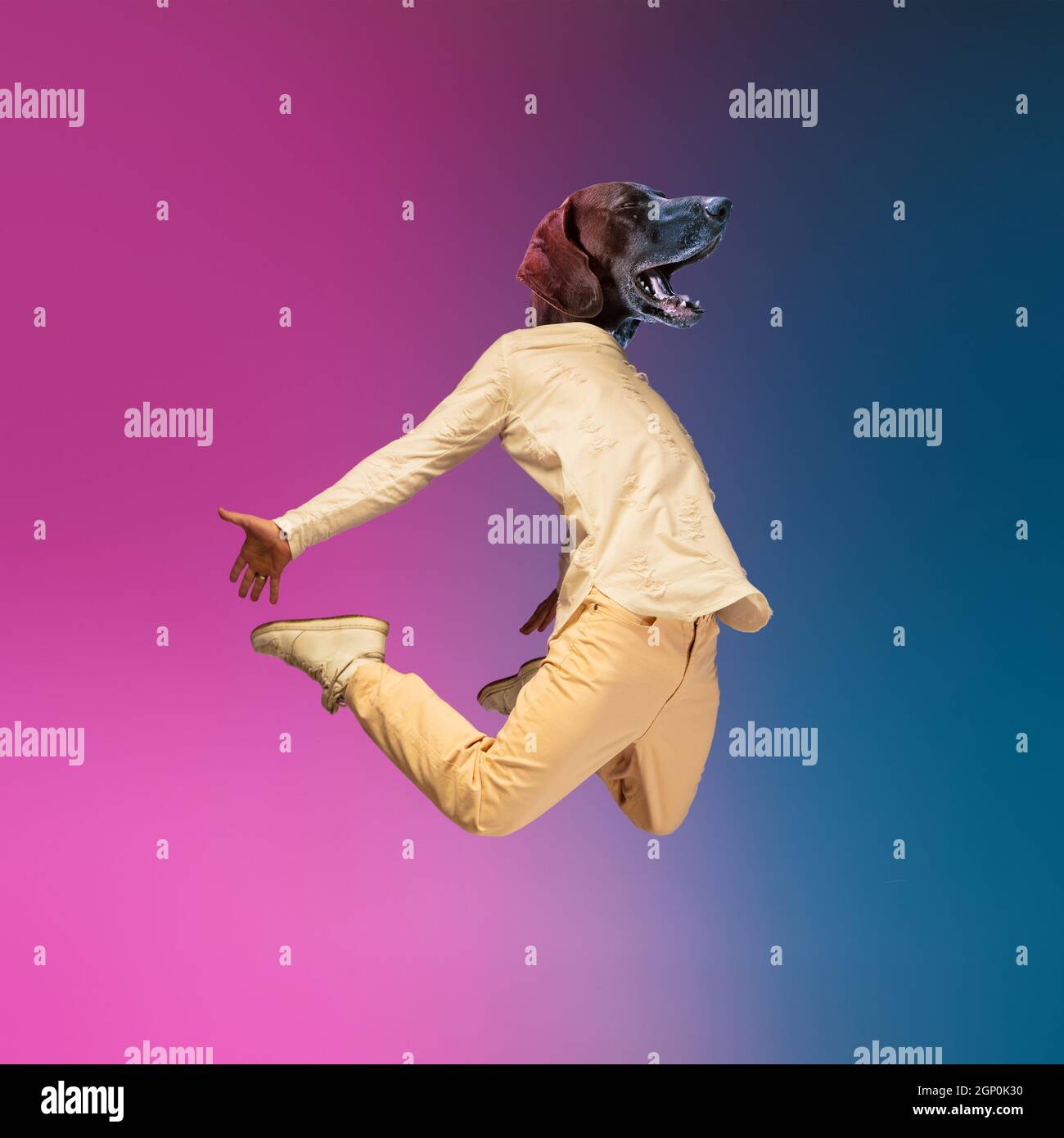 Contemporary collage with young man, hip hop dancer headed of dog's ...