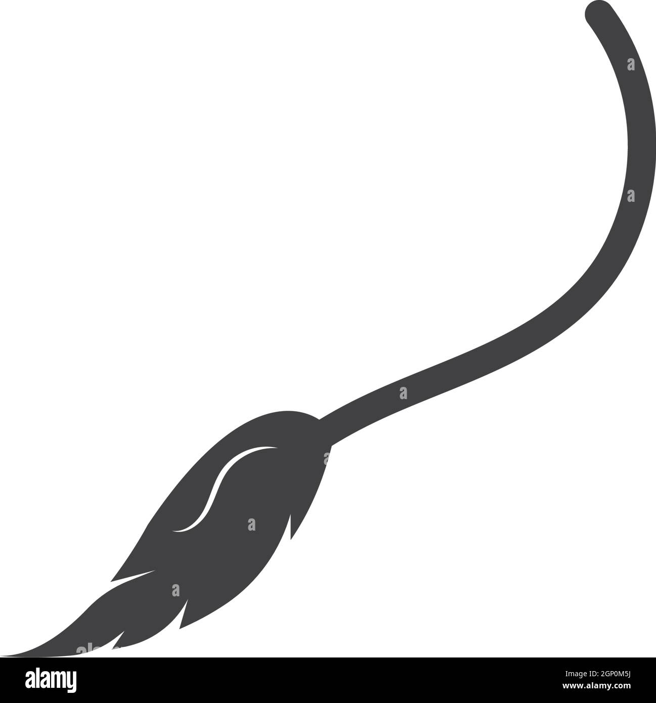 Harry Potter Broom Silhouette