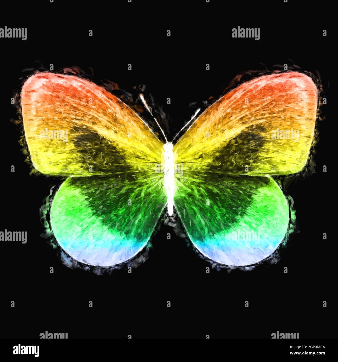 color butterfly isolated on black background Stock Photo - Alamy