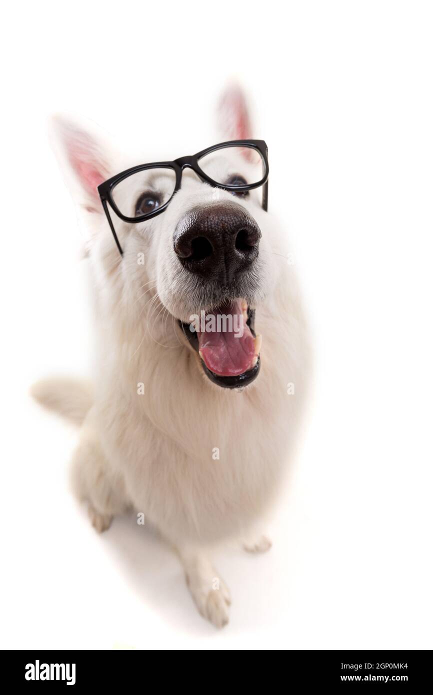 Swiss police Cut Out Stock Images & Pictures - Alamy