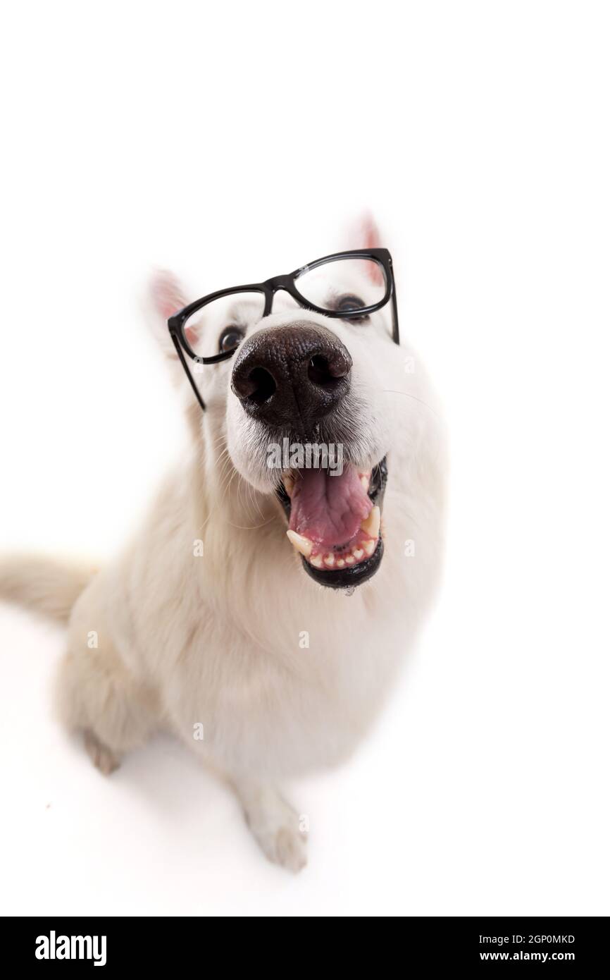 Swiss police Cut Out Stock Images & Pictures - Alamy