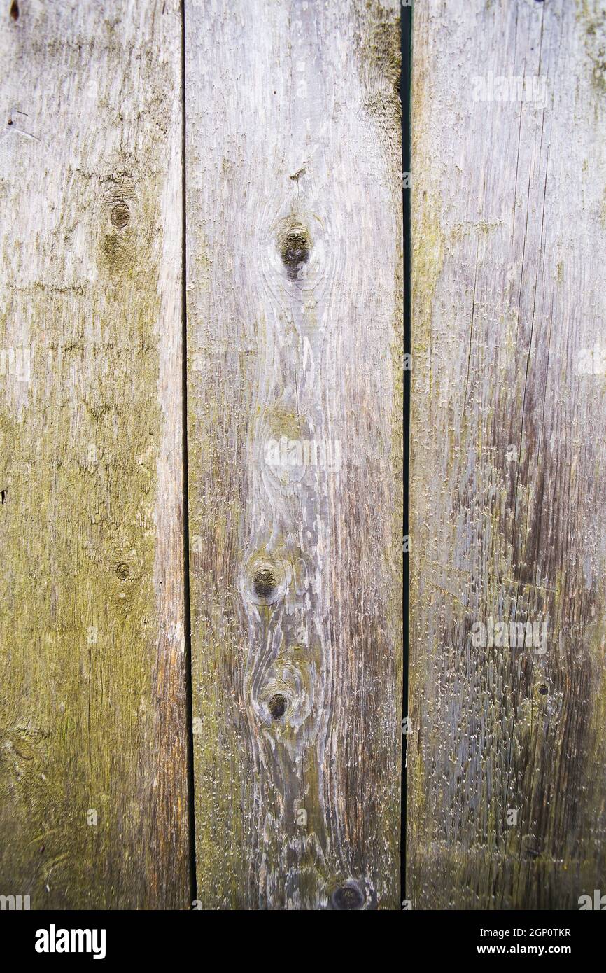 Very old wooden texture, carpentry, close-up background Stock Photo - Alamy
