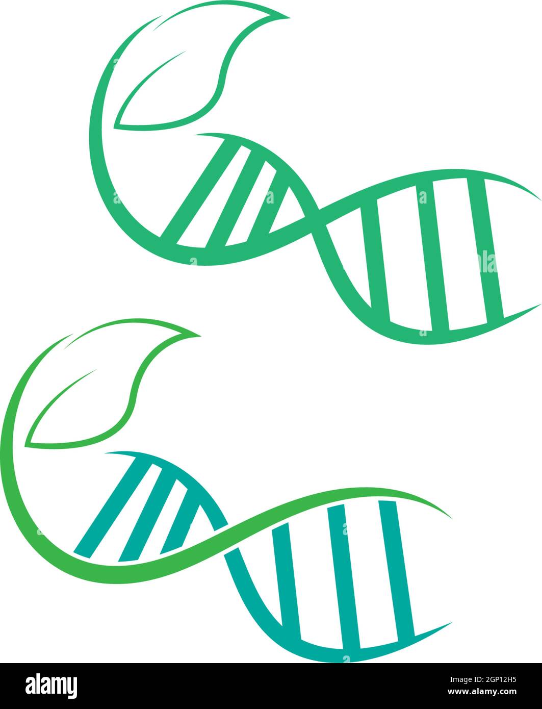 Genetic illustration Cut Out Stock Images & Pictures - Alamy