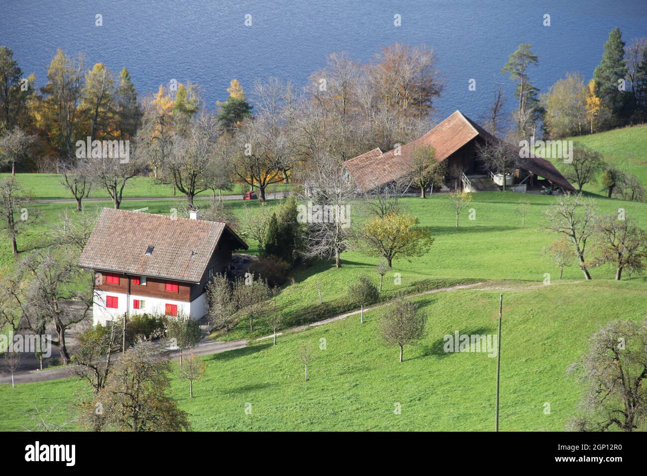Swiss farm houses on a lake Stock Photo - Alamy