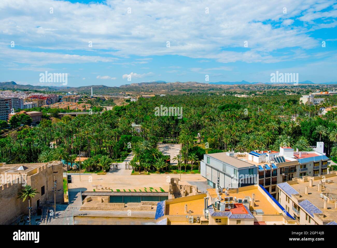an aerial view over the famous Palmeral de Elche, Palm Grove of Elche ...